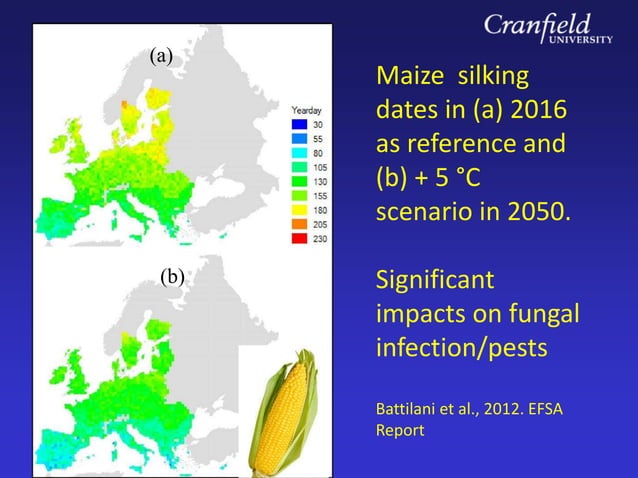 Mycotoxins, food security and climate change | PPT