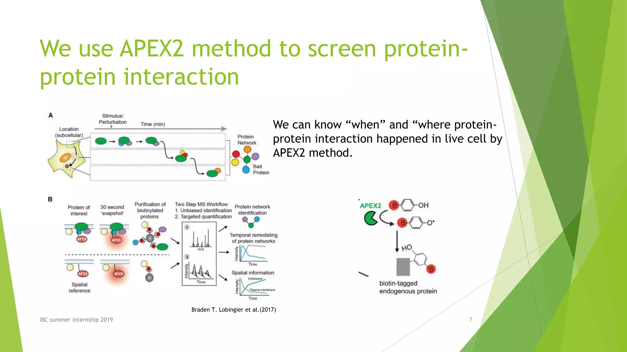Academia Sinica IBC summer internship oral presentation | PPTX