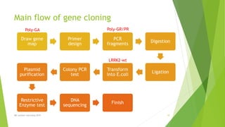 Academia Sinica IBC summer internship oral presentation | PPTX | Brain ...