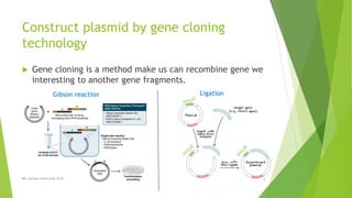 Academia Sinica IBC summer internship oral presentation | PPTX | Brain ...