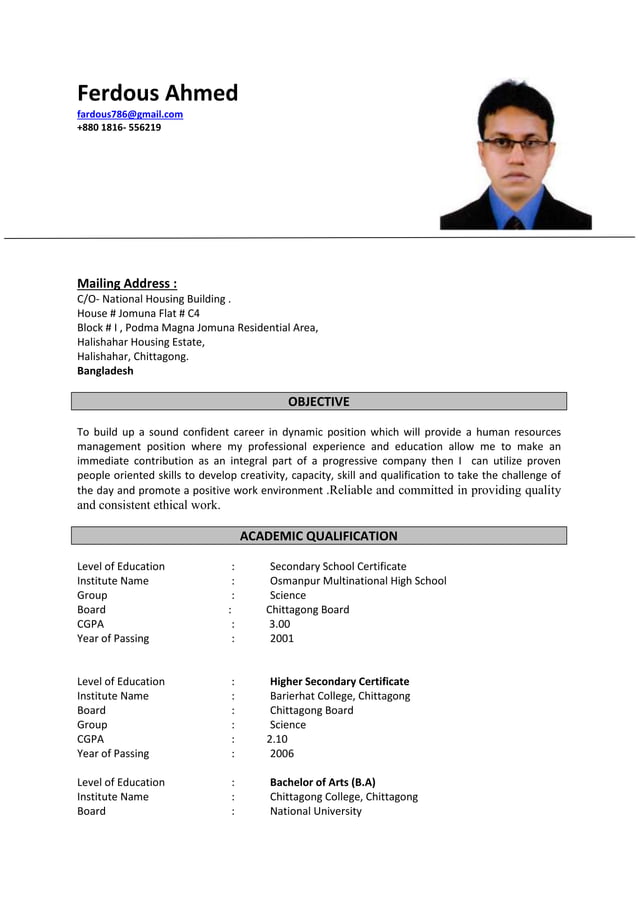 Curriculum Vitae (3) | PDF