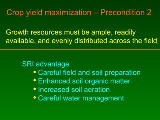 0838 Crop Yield Maximization | PPT