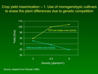 0838 Crop Yield Maximization | PPT