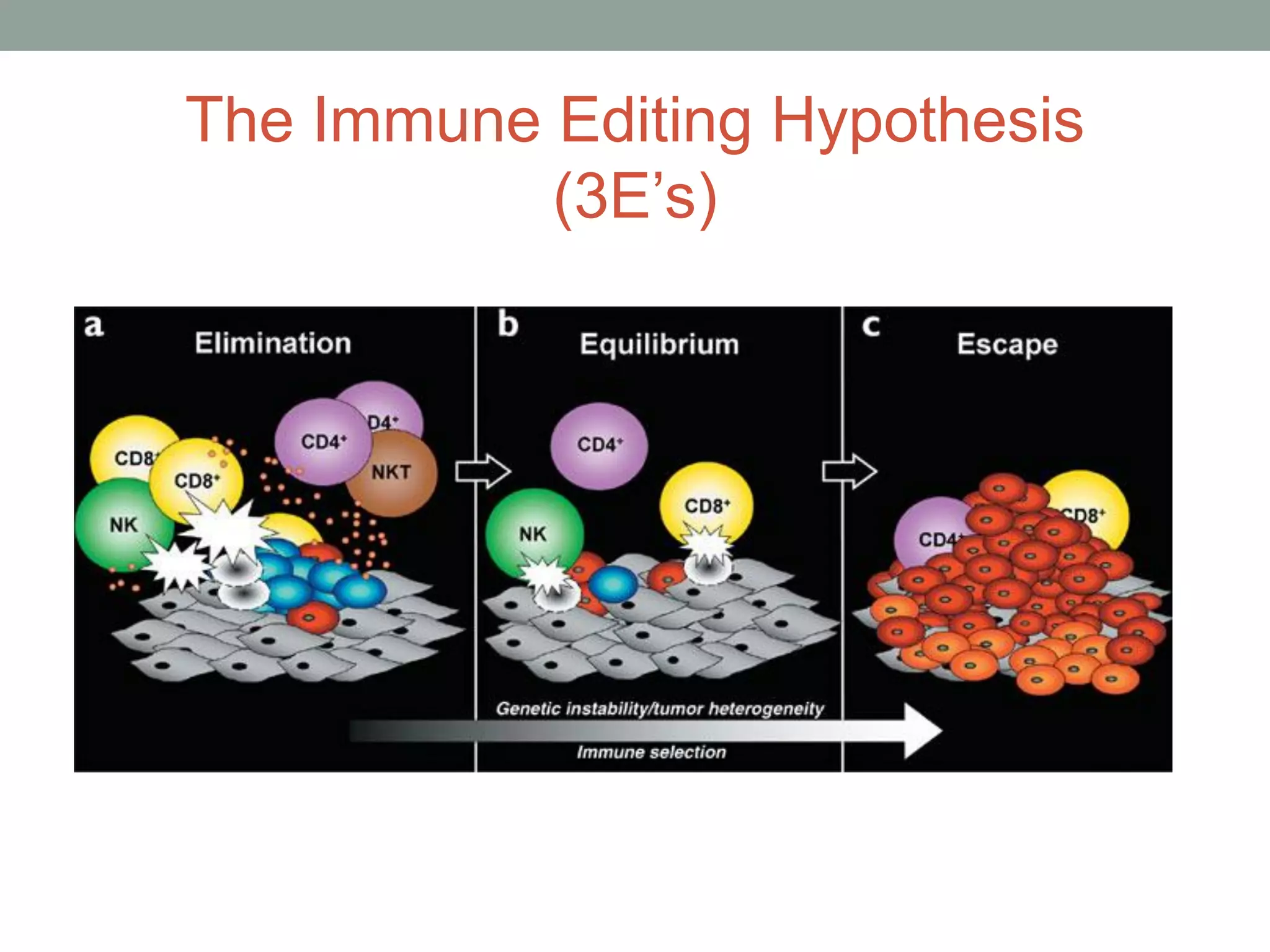 Basic immunotherapy | PDF