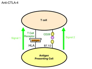 Basic immunotherapy | PDF