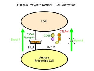 Basic immunotherapy | PDF