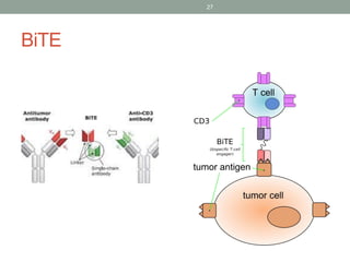 Basic immunotherapy | PDF