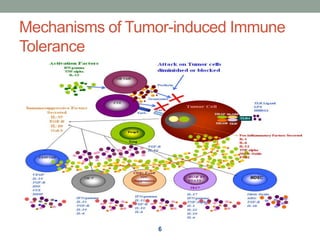 Basic immunotherapy | PDF