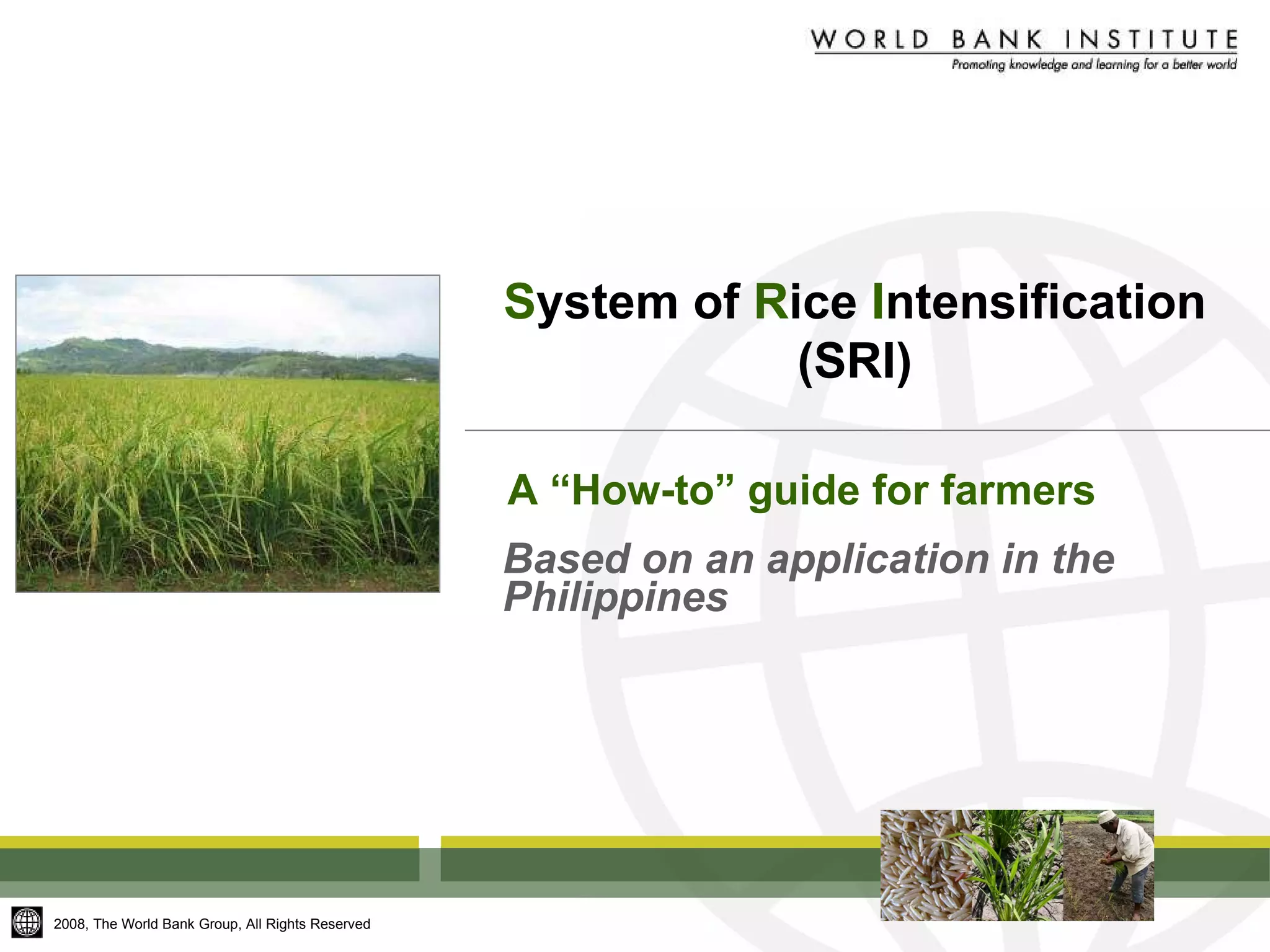 0844 System of Rice Intensification (SRI): A 'How to' Guide for Farmers ...