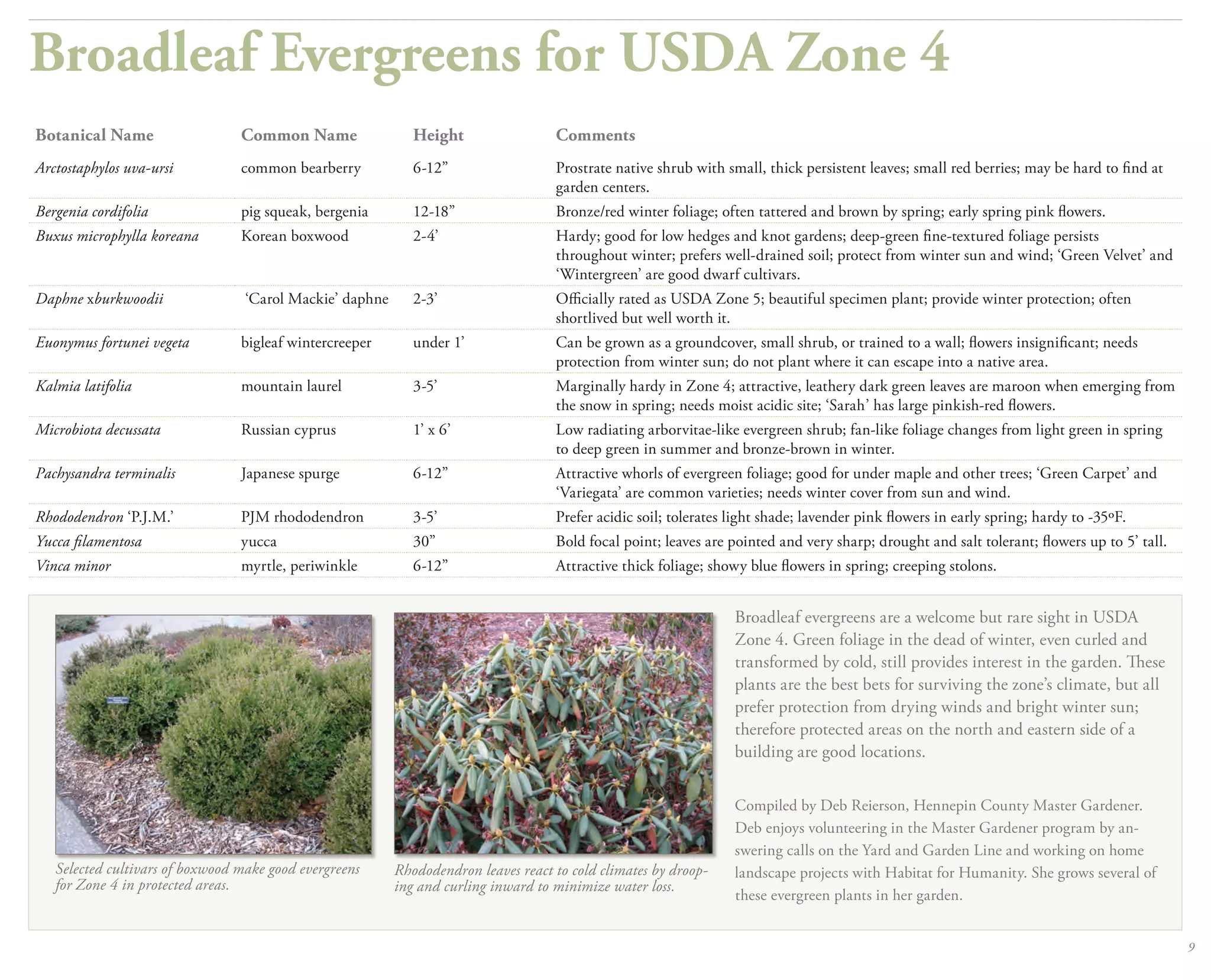 The Best Plants For 30 Tough Sites - University of Minnesota | PDF