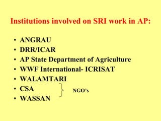 0848 ANGRAU Initiatives for SRI and Lessons from Andhra Pradesh | PPT