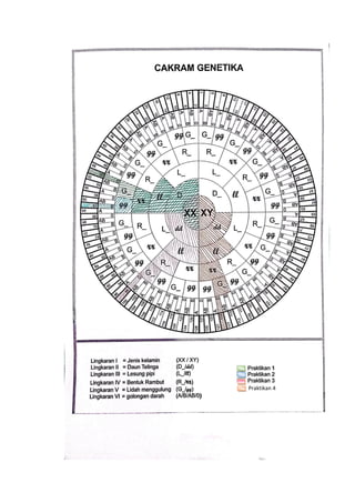 084_Nur Karimatun Nisa_Pbio C_Kel 6_Bab 4_Variasi Sifat pada Manusia.pdf