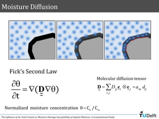 The influence of air void content on moisture damage susceptibility of ...