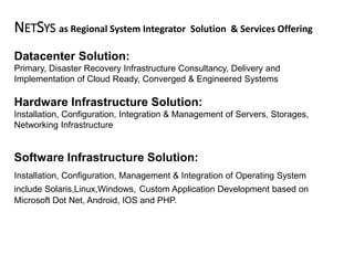 NetSys-Corporate-Profile-August-2016 | PPT