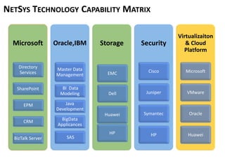 NetSys-Corporate-Profile-August-2016 | PPT