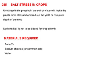 085 salt stress by crops | PPT