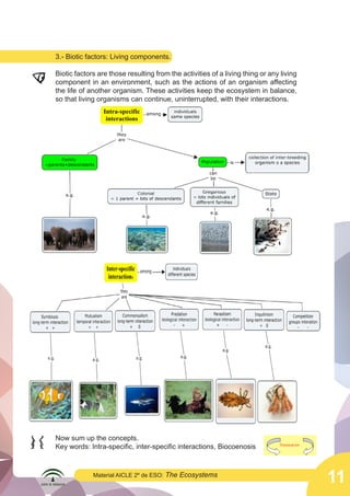 The Ecosystems | PDF
