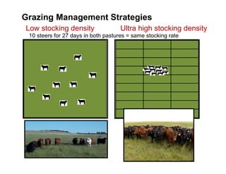 Grazing Management Effect on Micro- and Macro-Scale Fate of Carbon and ...