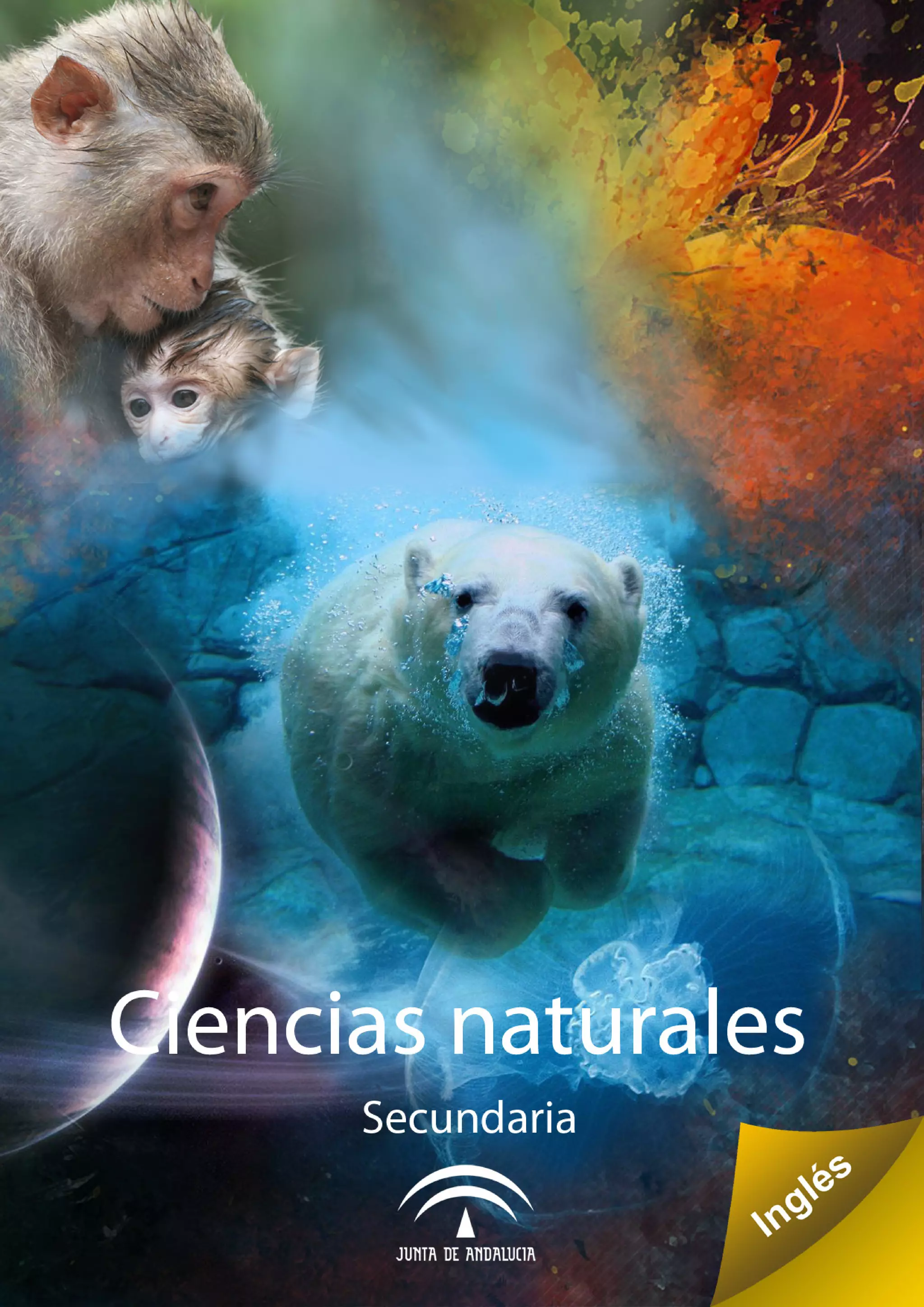 AICLE Vital Functions | PDF