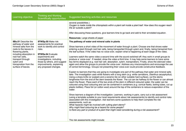 0893 Lower Secondary Science Stage 9 Scheme of Work_tcm143-595697.docx