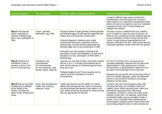 0893 Lower Secondary Science Stage 9 Scheme of Work_tcm143-595697.docx