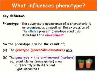 a level biology. Polygenic Inheritance.pptx