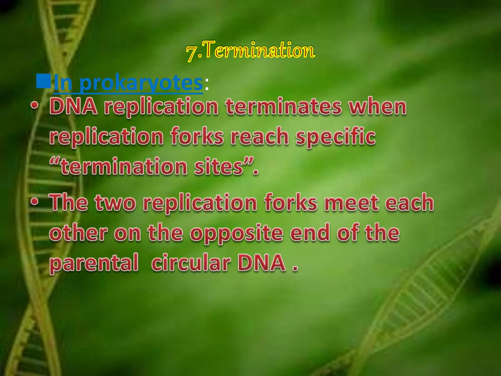DNA REPLICATION | PPTX | Chemistry | Science