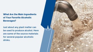 Alcoholic Beverages: Definition, Production, and Ingredients | PDF