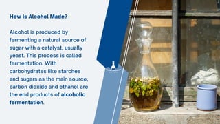 Alcoholic Beverages: Definition, Production, and Ingredients | PDF