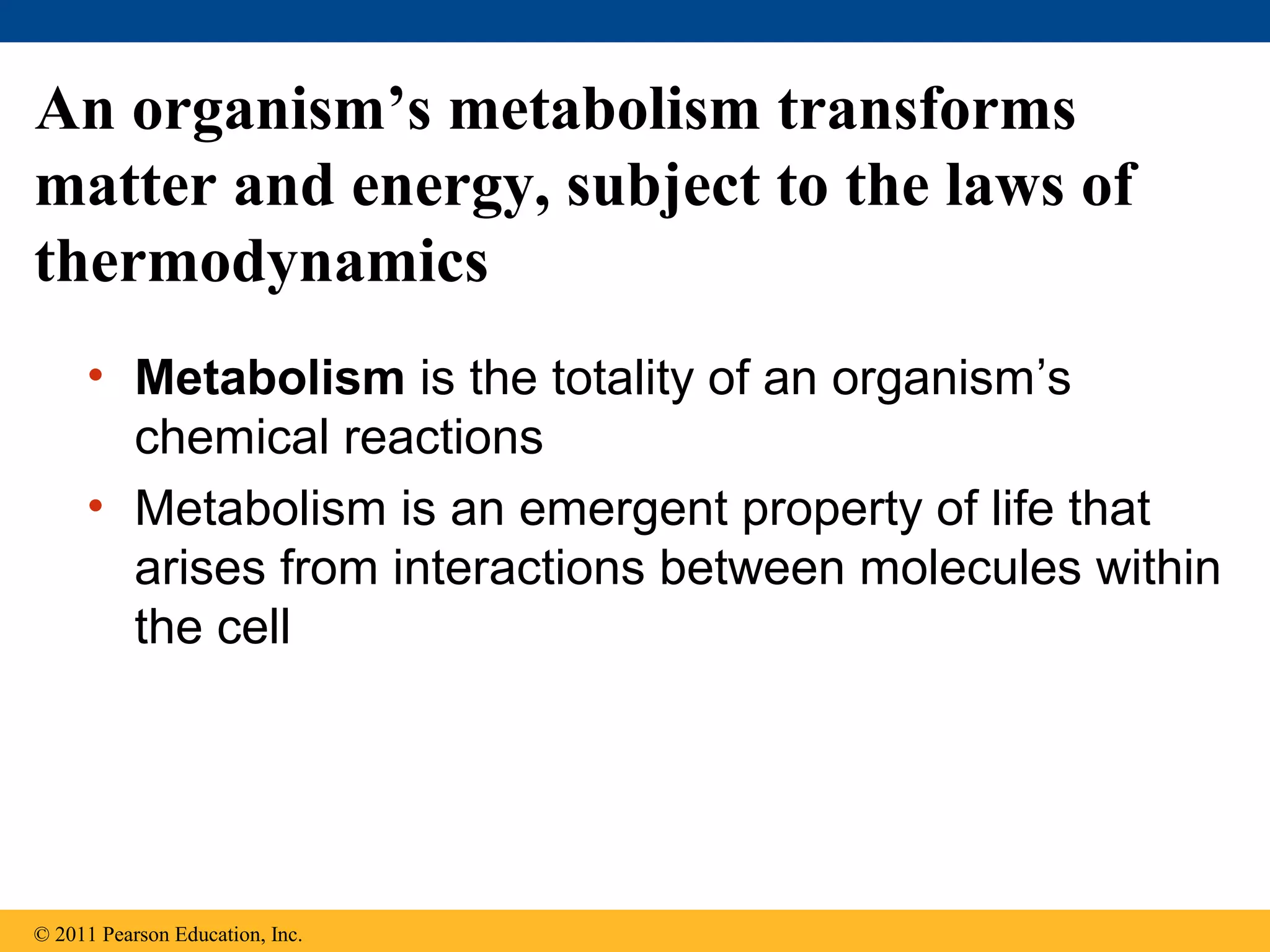 08 an introduction to metabolism | PPT