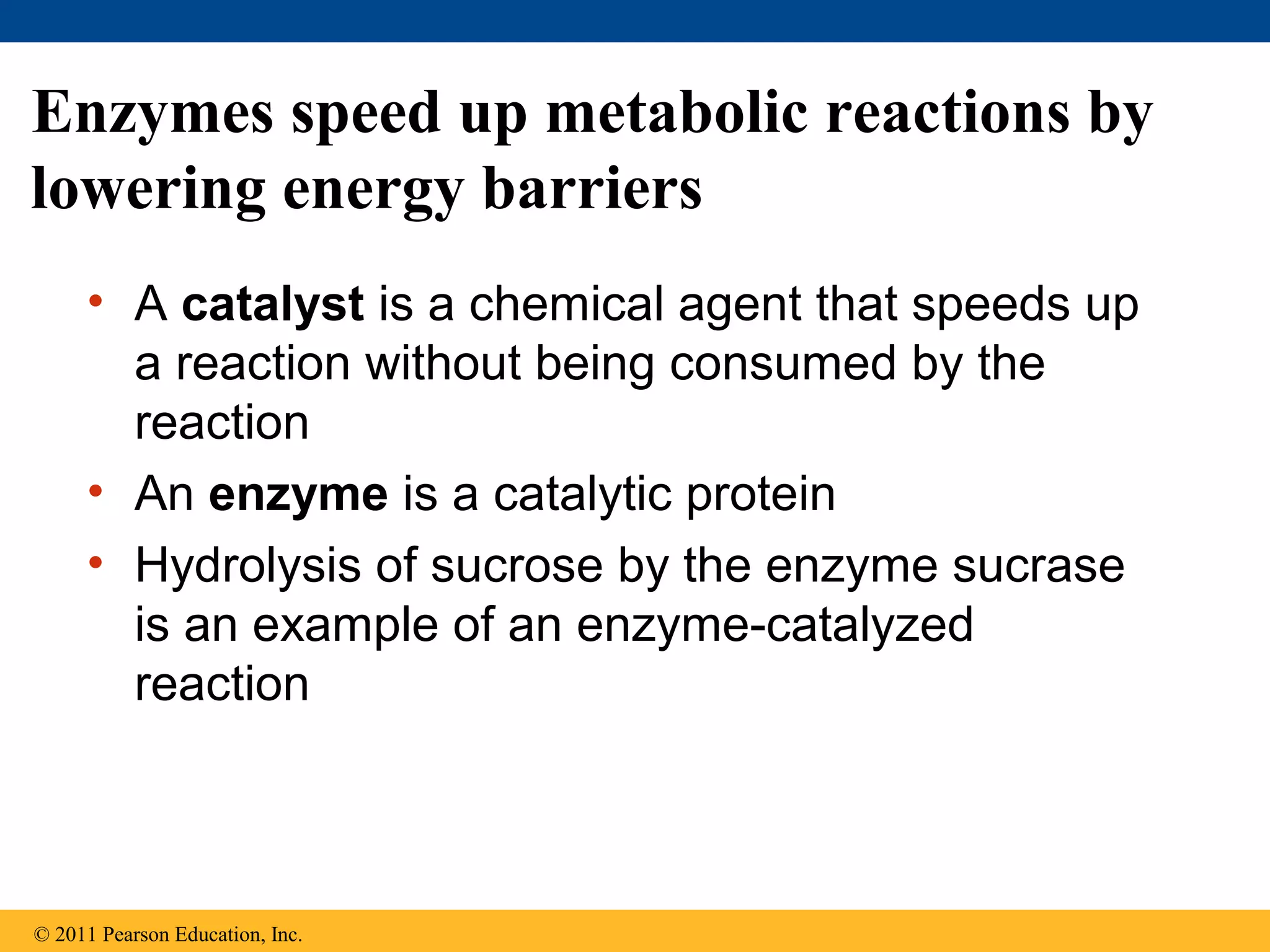 08 an introduction to metabolism | PPT