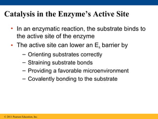 08 an introduction to metabolism | PPT
