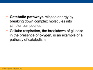 08 an introduction to metabolism | PPT