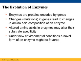 08 an introduction to metabolism | PPT