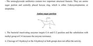 Aminoglycosides | PDF