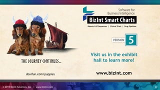IC-SDV 2019: BizInt | PPT