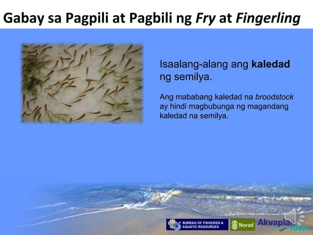 Better management Practices for aquaculture parks (tagalog) | PPT