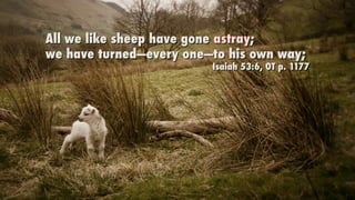 Astray! | PDF | Christianity | Religion & Spirituality