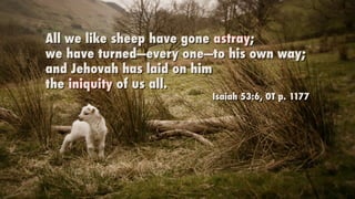 Astray! | PDF | Christianity | Religion & Spirituality