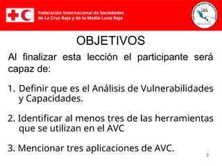 ANALISI DE VULNERABILIDAD Y CAPACIDAD AVC.ppt