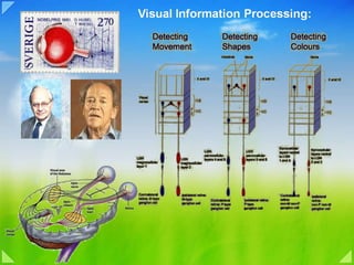 08a vision processing intorduction | PPT