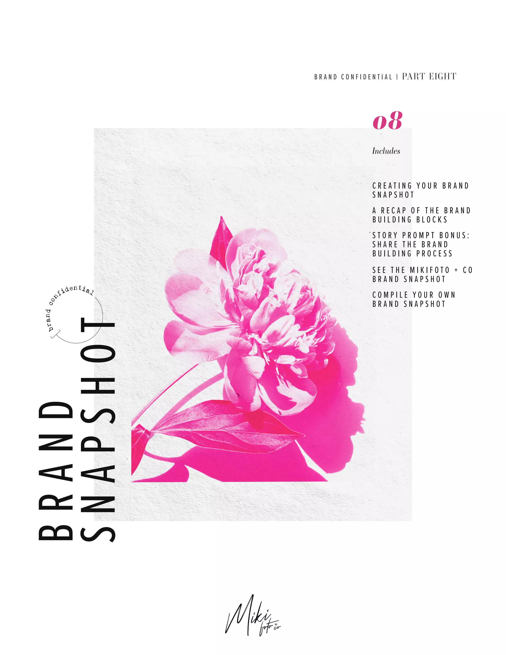 08 brand snapshot | PDF