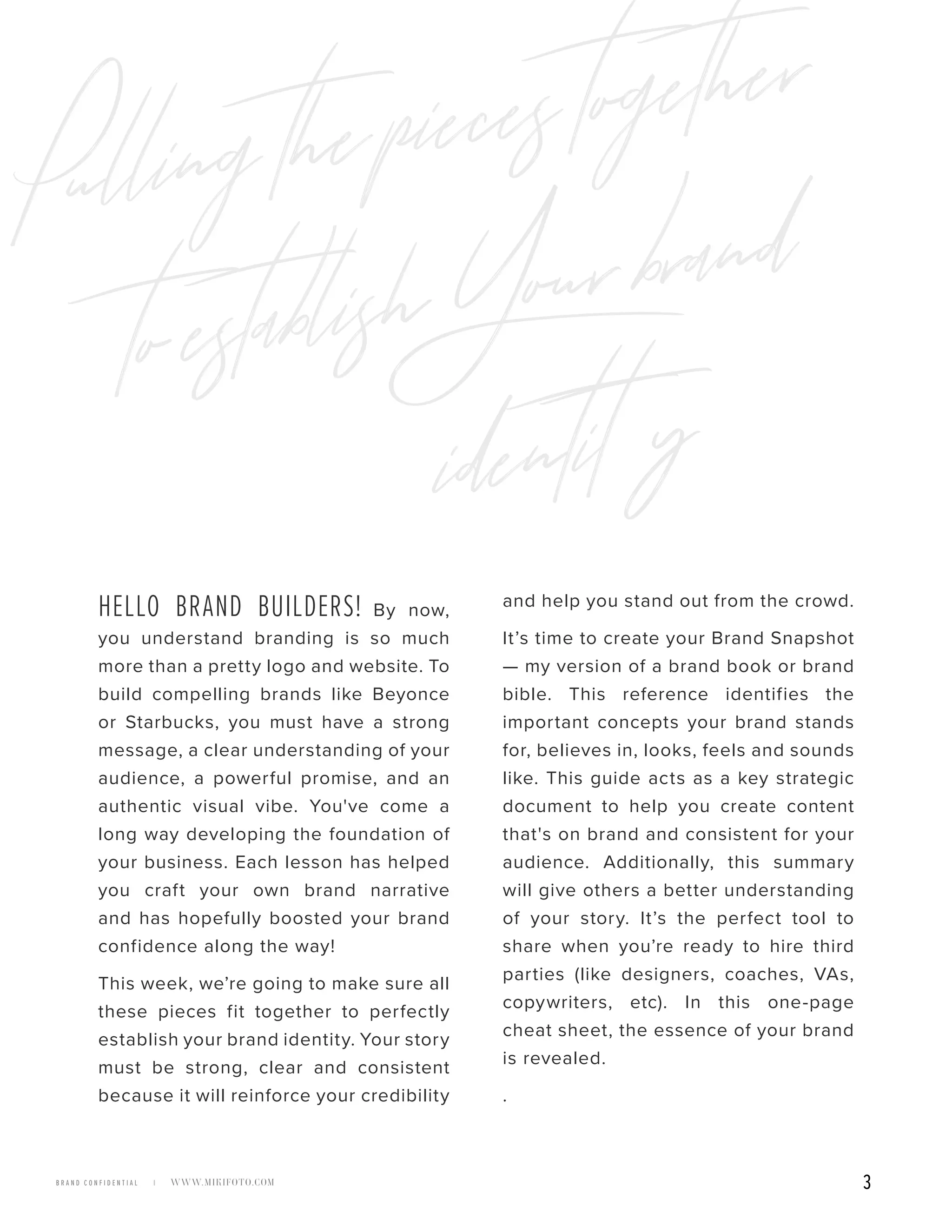 08 brand snapshot | PDF