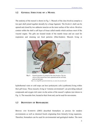 M.Sc.-thesis_Matthias-Kellermann | PDF