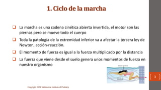 08 Ciclo de la marcha 2023.pptx