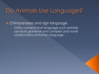 08 cognition & language | POTX | Science