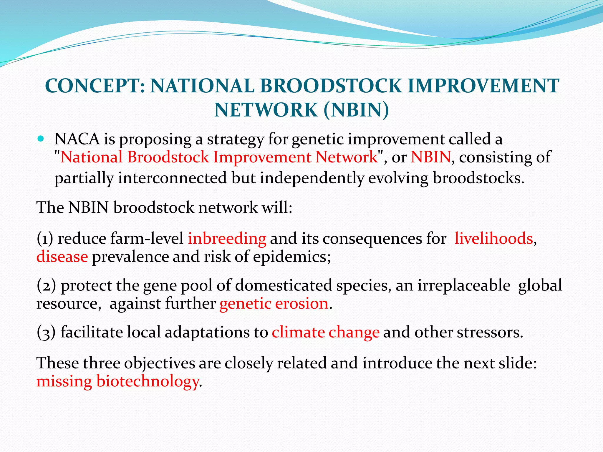 National Broodstock Improvement Network (NBIN) | PPT