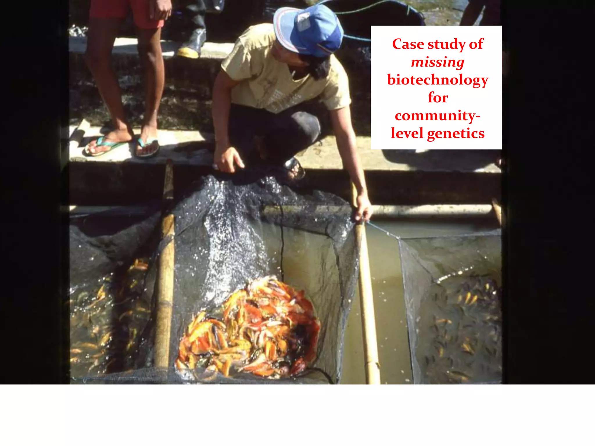 National Broodstock Improvement Network (NBIN) | PPT