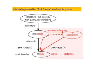 National Broodstock Improvement Network (NBIN) | PPT