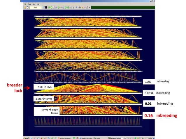 National Broodstock Improvement Network (NBIN) | PPT